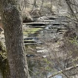 Tanyard Perimeter Loop, Arkansas - 2,602 Reviews, Map | AllTrails