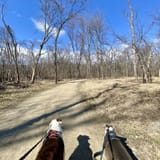 Sac and Fox Trail, Iowa - 268 Reviews, Map | AllTrails