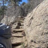 Fatmans Loop Trail, Arizona - 5,013 Reviews, Map | AllTrails