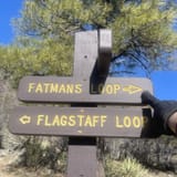 Fatmans Loop Trail, Arizona - 5,013 Reviews, Map | AllTrails