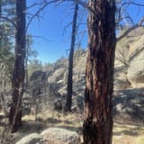 Fatmans Loop Trail, Arizona - 5,013 Reviews, Map | AllTrails
