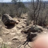 Fatmans Loop Trail, Arizona - 5,013 Reviews, Map | AllTrails