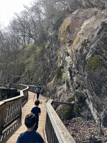 Best Hikes and Trails in Ijams Nature Center | AllTrails