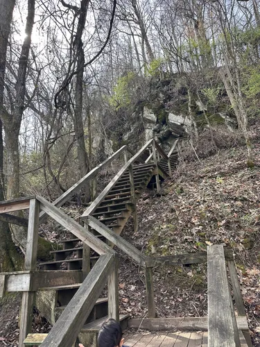 Best Hikes and Trails in Ijams Nature Center | AllTrails