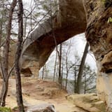 Sky Bridge Trail, Kentucky - 2,292 Reviews, Map | AllTrails