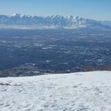 Big Beacon Mount Wire Trail, Utah - 1,851 Reviews, Map | AllTrails