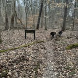 Low Gap Trail , Indiana - 1,316 Reviews, Map | AllTrails