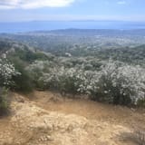 Inspiration Point, California - 3,624 Reviews, Map | AllTrails