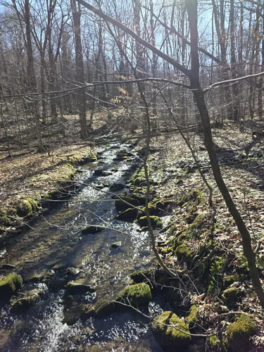 Best Moderate Trails in Forbes State Forest | AllTrails