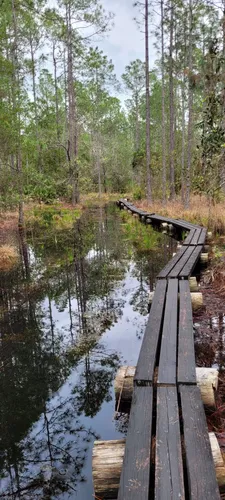 Best Lake Trails in Deland | AllTrails
