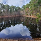 Harris Lake Peninsula Trail, North Carolina - 1,836 Reviews, Map ...