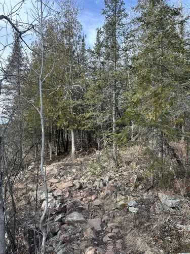 Best Hikes and Trails in Downer Park | AllTrails