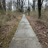 Fort Howard Park Trail, Maryland - 185 Reviews, Map | AllTrails