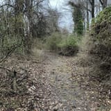 Fort Howard Park Trail, Maryland - 185 Reviews, Map | AllTrails