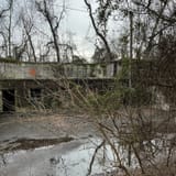 Fort Howard Park Trail, Maryland - 186 Reviews, Map | AllTrails