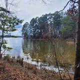 Harris Lake Peninsula Trail, North Carolina - 1,836 Reviews, Map ...
