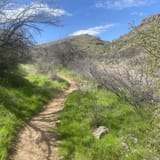 Picketpost Loop via Arizona Trail and L.O.S.T Trail, Arizona - 1,463 ...