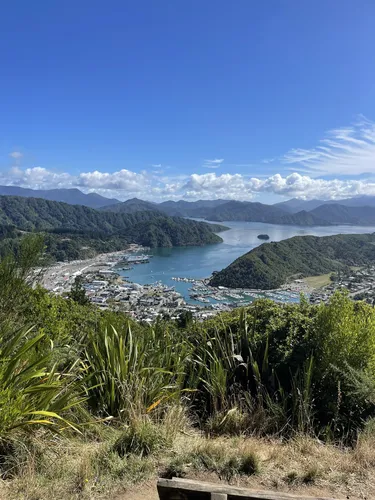 Best City Walk Trails in Picton | AllTrails