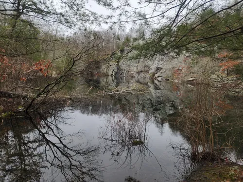 Best Walking Trails in Assonet | AllTrails