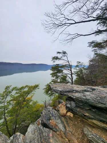 Best Hikes and Trails in Chestnut Grove Natural Area | AllTrails