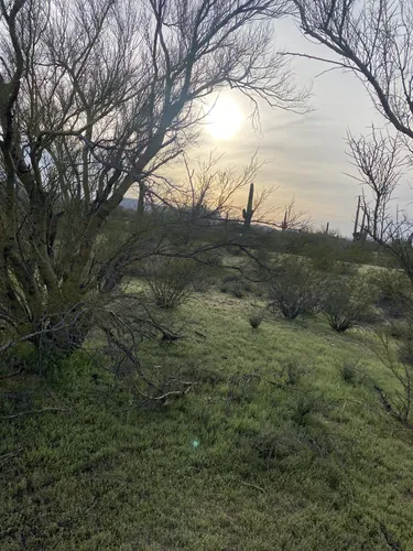 Best Hikes and Trails in Arthur Pack Regional Park | AllTrails