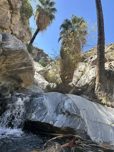 Best Hikes and Trails in Cahuilla Native American Land - Indian Canyons ...