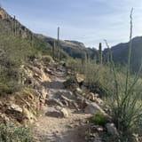 Pima Canyon Trail, Arizona - 2,622 Reviews, Map | AllTrails