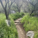 Pima Canyon Trail, Arizona - 2,622 Reviews, Map | AllTrails