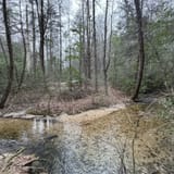 Three Forks and Springer Mountain via Appalachian Trail, Georgia - 743 ...