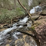 Three Forks and Springer Mountain via Appalachian Trail, Georgia - 743 ...