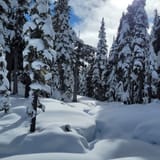 Paradise Meadows Loop Trail, British Columbia, Canada - 296 Reviews ...