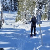 Paradise Meadows Loop Trail, British Columbia, Canada - 296 Reviews ...