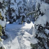 Paradise Meadows Loop Trail, British Columbia, Canada - 296 Reviews ...