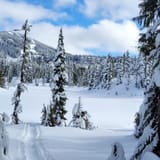 Paradise Meadows Loop Trail, British Columbia, Canada - 296 Reviews ...