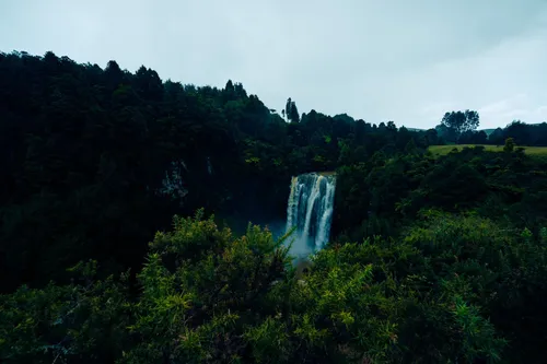 Best Walking Trails in Piopio | AllTrails