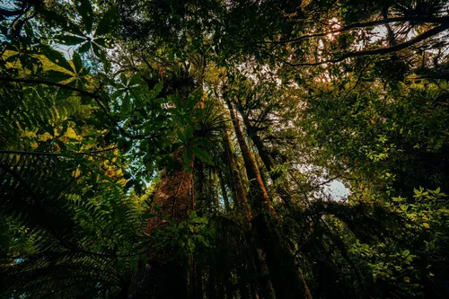 Best Walking Trails in Piopio | AllTrails