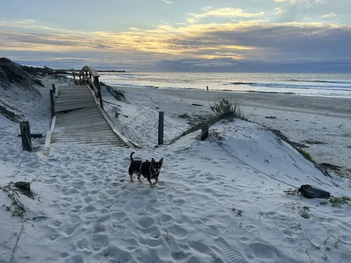 Best Hikes and Trails in Moss Beach | AllTrails