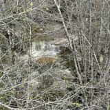 Henninger Flats Trail, California - 2,729 Reviews, Map | AllTrails