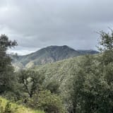 Henninger Flats Trail, California - 2,729 Reviews, Map | AllTrails