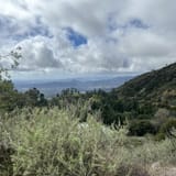 Henninger Flats Trail, California - 2,719 Reviews, Map | AllTrails