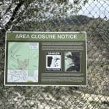 Henninger Flats Trail, California - 2,729 Reviews, Map | AllTrails