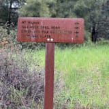 Henninger Flats Trail, California - 2,729 Reviews, Map | AllTrails