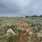 Vernal Pool Trail and Transpreserve Trail Loop, California - 399 ...