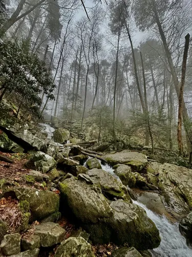 Best Waterfall Trails in Pine Grove | AllTrails