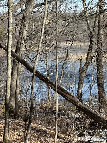 Best Backpacking Trails in Luck | AllTrails