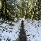 Poo Poo Point Trail, Washington - 6,160 Reviews, Map | AllTrails