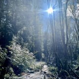 Poo Poo Point Trail, Washington - 6,160 Reviews, Map | AllTrails