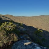 Big Lost Cove Cliffs Trail (271), North Carolina - 598 Reviews, Map ...