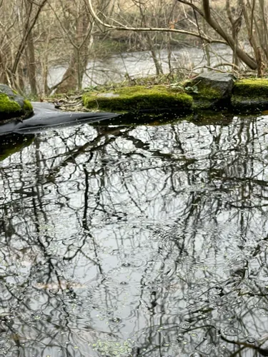 Best Hikes and Trails in Ashland Nature Center | AllTrails