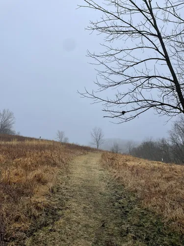 Best Hikes and Trails in Ashland Nature Center | AllTrails